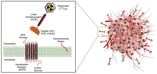 Diagnostics | Free Full-Text | Radiomics and Artificial Intelligence in Radiotheranostics: A ...