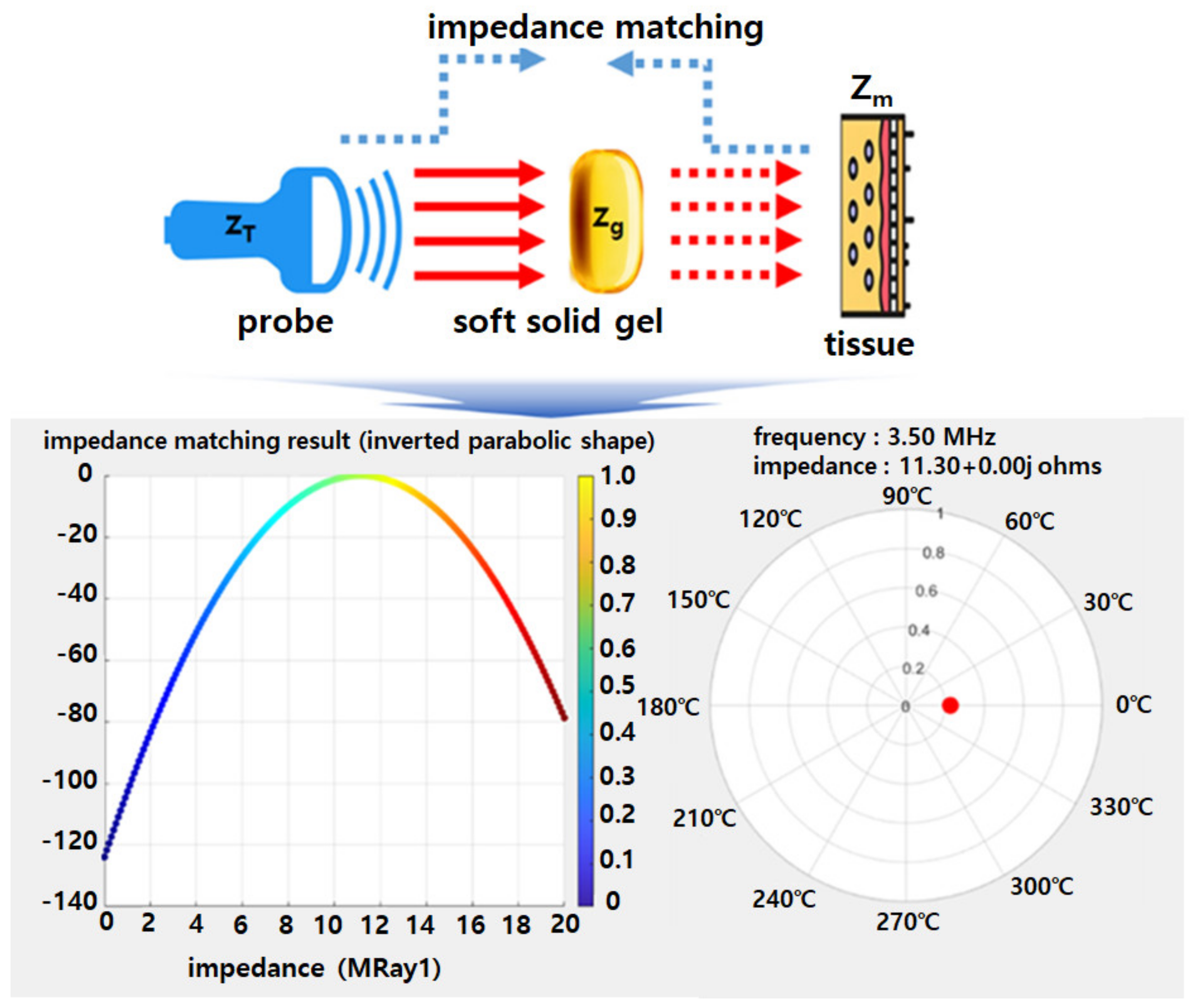 Development of an Artificial Soft Solid Gel Using Gelatin Material for ...