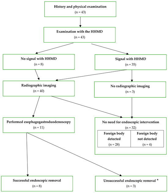Safety beyond Sight: Handheld Metal Detectors as Diagnostic Allies in ...