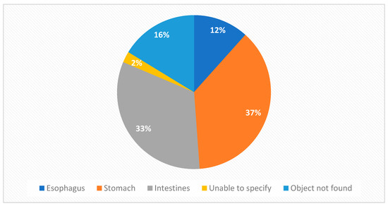 Safety beyond Sight: Handheld Metal Detectors as Diagnostic Allies in ...