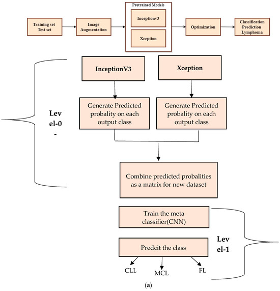 PrecisionLymphoNet: Advancing Malignant Lymphoma Diagnosis via Ensemble ...
