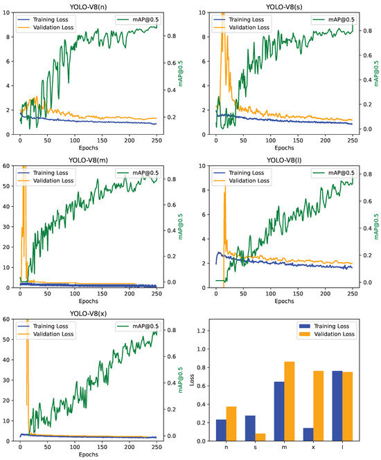 Polypoid Lesion Segmentation Using YOLO-V8 Network in Wireless Video Capsule Endoscopy Images