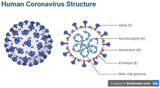 Diagnostics | Free Full-Text | Advances and Challenges in SARS-CoV-2 Detection: A Review of ...