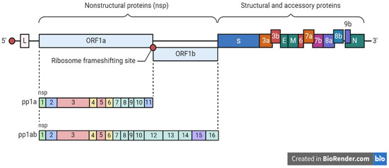 Diagnostics | Free Full-Text | Advances and Challenges in SARS-CoV-2 ...