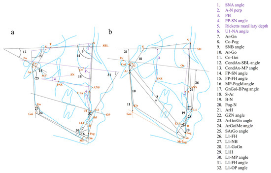 Radiographic Imaging for the Diagnosis and Treatment of Patients with ...