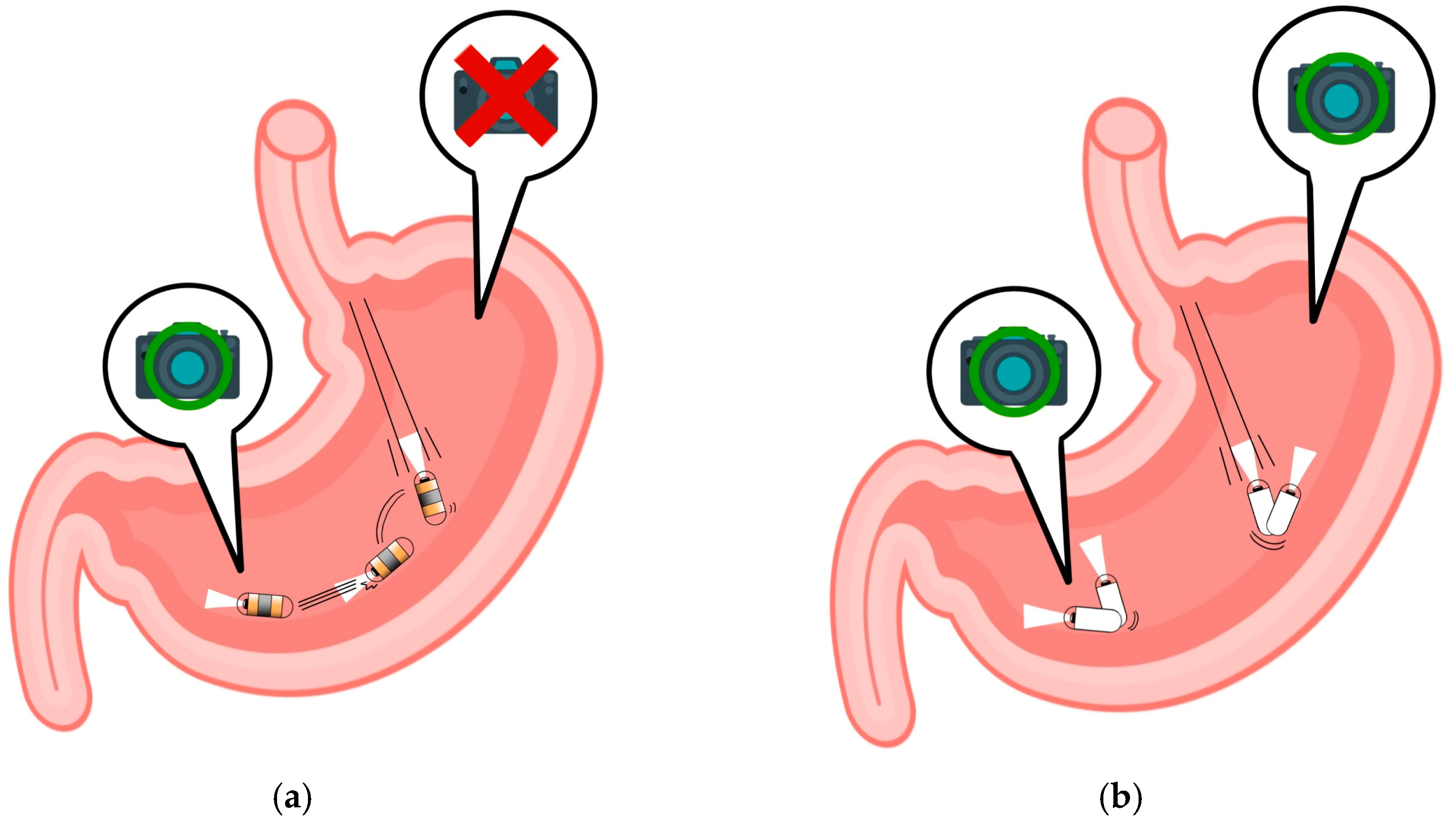 Color-Transfer-Enhanced Data Construction and Validation for Deep Learning-Based Upper ...
