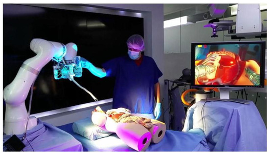 Robotic Platforms for Therapeutic Flexible Endoscopy: A Literature Review
