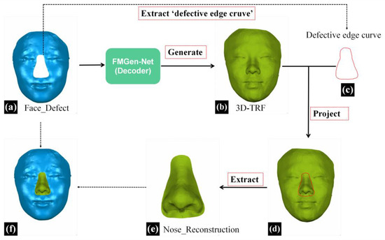 Three-Dimensional Virtual Reconstruction of External Nasal Defects ...