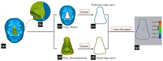 Three-Dimensional Virtual Reconstruction of External Nasal Defects Based on Facial Mesh ...