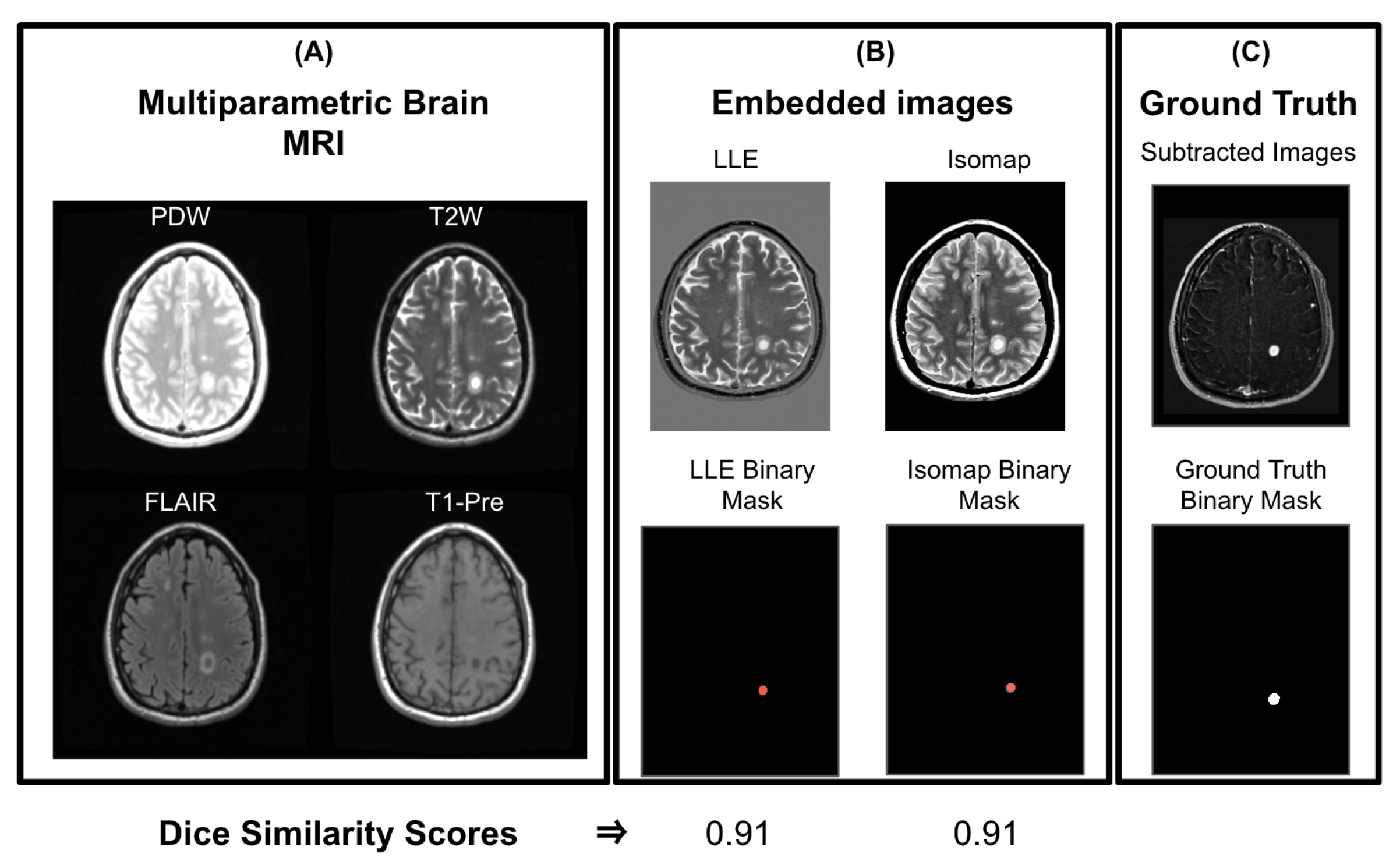 Diagnostics | Free Full-Text | Automatic Active Lesion Tracking in ...