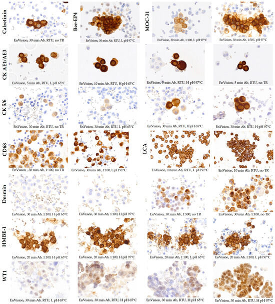 Validation and Implementation of OptiView and EnVision FLEX Detection ...