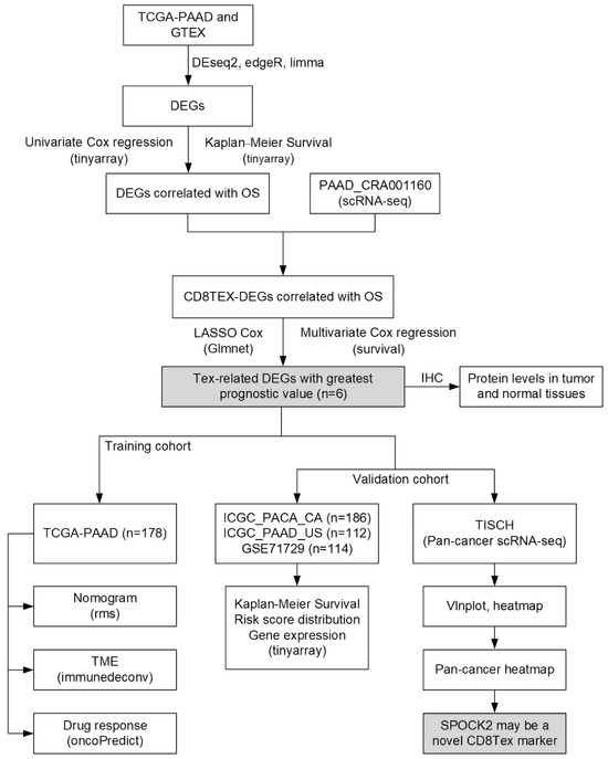 Identification and Validation of T-Cell Exhaustion Signature for ...
