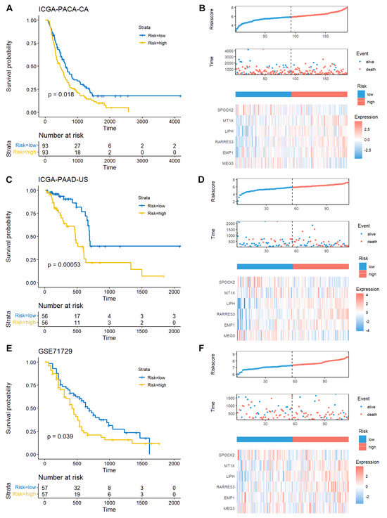 Identification and Validation of T-Cell Exhaustion Signature for ...