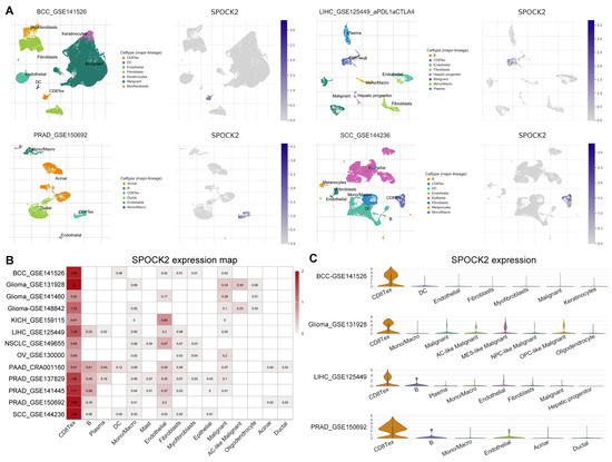 Identification and Validation of T-Cell Exhaustion Signature for ...