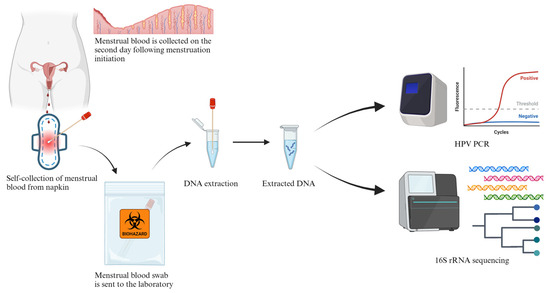 Menstrual Blood as a Diagnostic Specimen for Human Papillomavirus ...