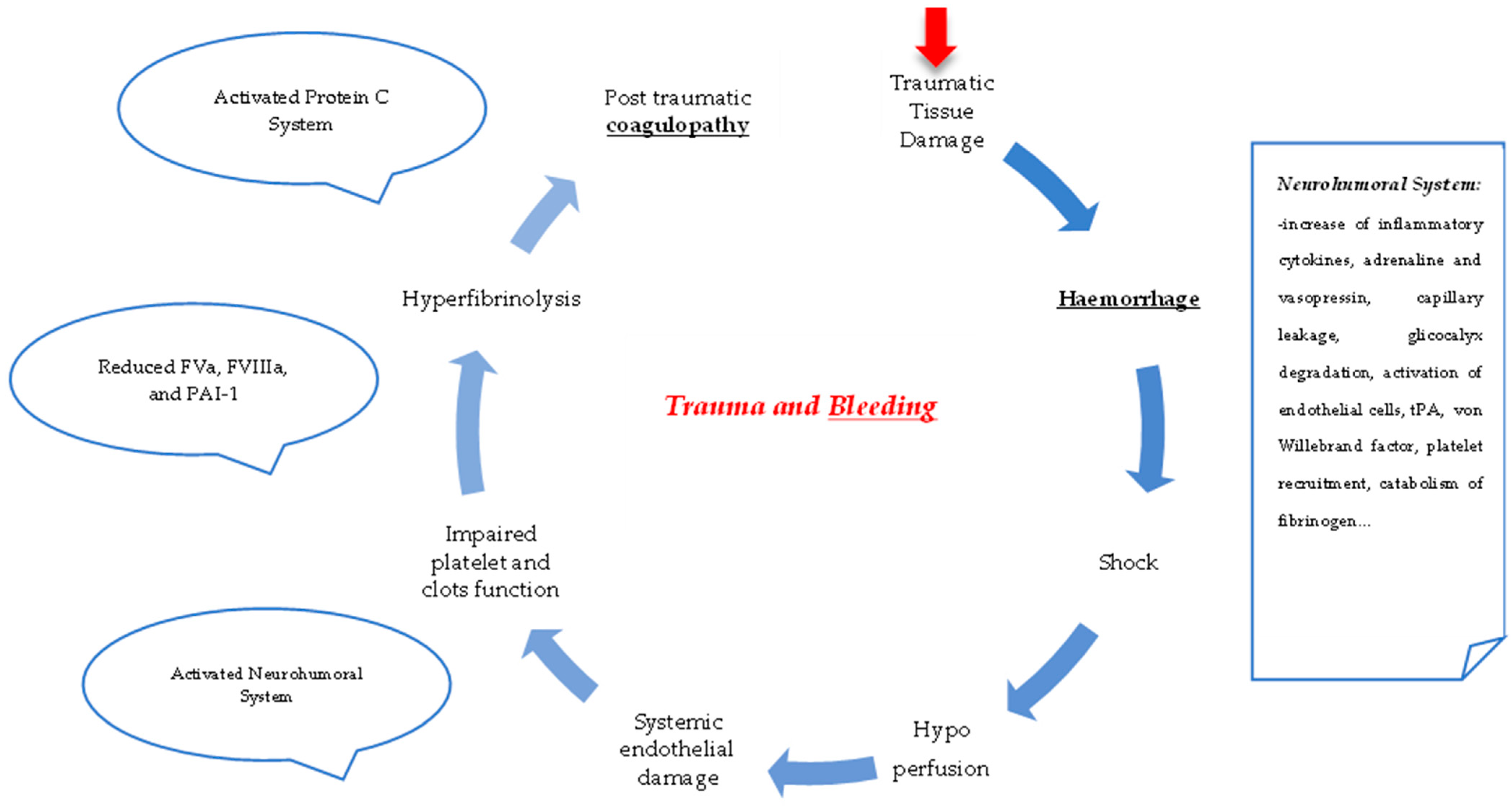 Blood Transfusion for Major Trauma in Emergency Department