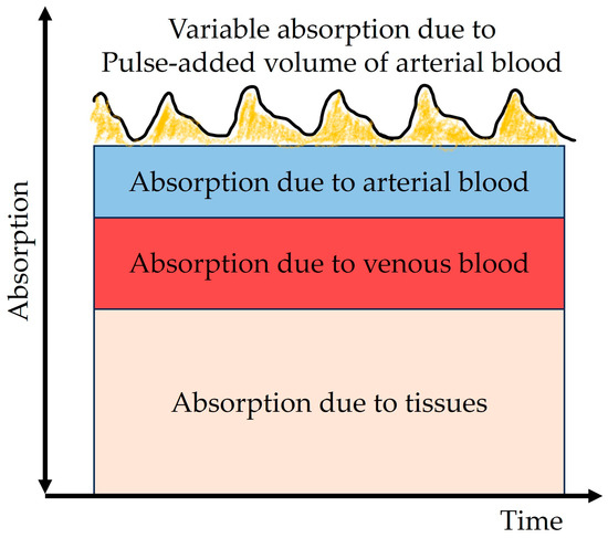 Recent Technologies for Transcutaneous Oxygen and Carbon Dioxide Monitoring