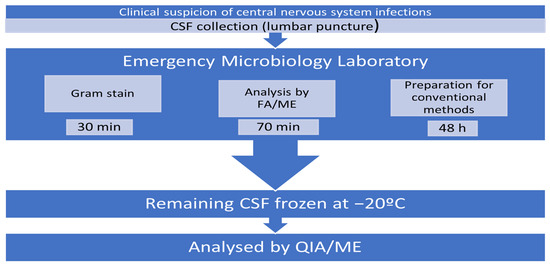 An Assessment of a New Rapid Multiplex PCR Assay for the Diagnosis of ...