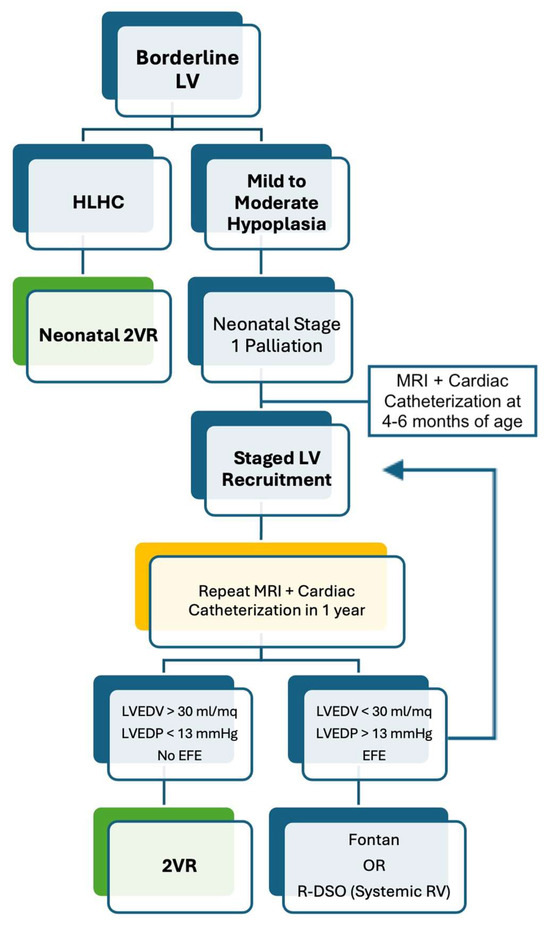 Diagnostics | Free Full-Text | Borderline Ventricles: From Evaluation ...