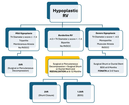 Diagnostics | Free Full-Text | Borderline Ventricles: From Evaluation ...