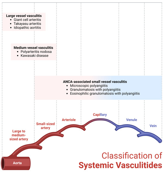 Multi-Modality Imaging in Vasculitis