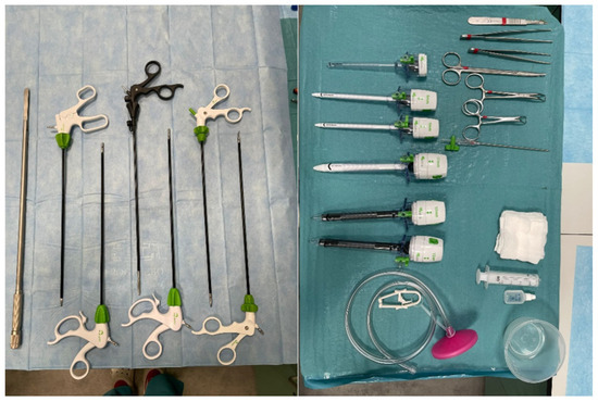 Videoautopsy—A Minimally Invasive Autopsy Method Using Endoscopic ...
