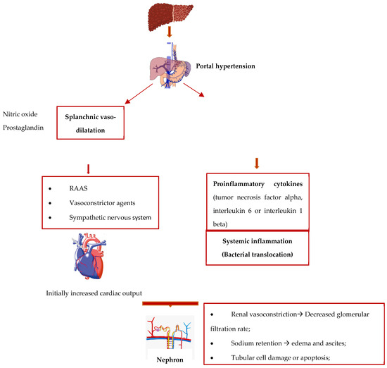 Seeing and Sensing the Hepatorenal Syndrome (HRS): The Growing Role of ...