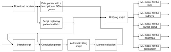Diagnostics | Free Full-Text | Method for Detecting Pathology of ...