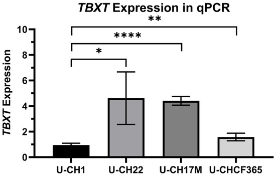 Diagnostics | Free Full-Text | Impact of CDK Inhibitors on TBXT ...