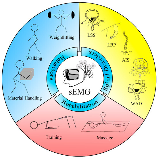 The Application of Surface Electromyography Technology in Evaluating ...