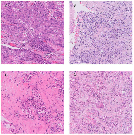 Diagnostics | Free Full-Text | Evaluating Cellularity Estimation Methods: Comparing AI Counting ...