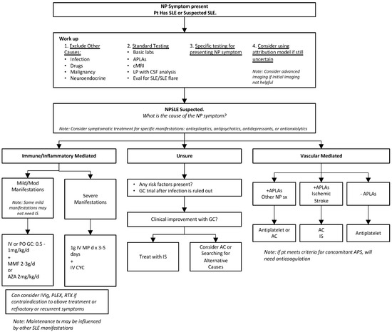 Diagnostics | Free Full-Text | The Challenge of Neuropsychiatric ...