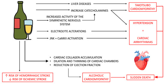 A Comprehensive Review on Alcohol Abuse Disorder Fatality, from Alcohol ...