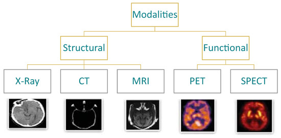 Few-Shot Learning for Medical Image Segmentation Using 3D U-Net and ...
