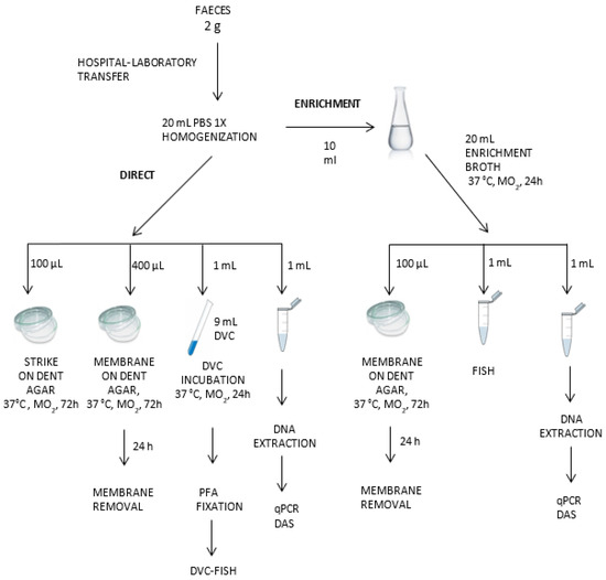 Use of Deep-Amplicon Sequencing (DAS), Real-Time PCR and In Situ ...