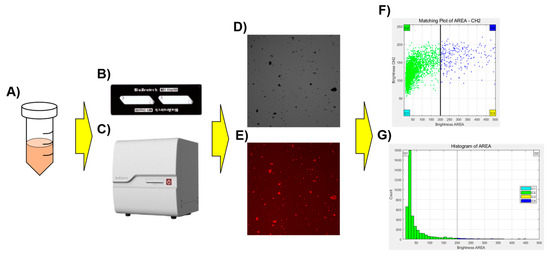 Evaluation of Pre-Transfusion Crossmatch Test Using Microscanner C3