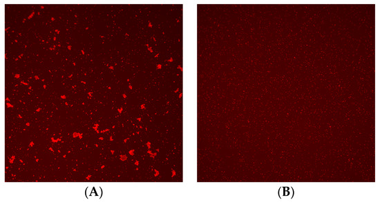 Evaluation of Pre-Transfusion Crossmatch Test Using Microscanner C3