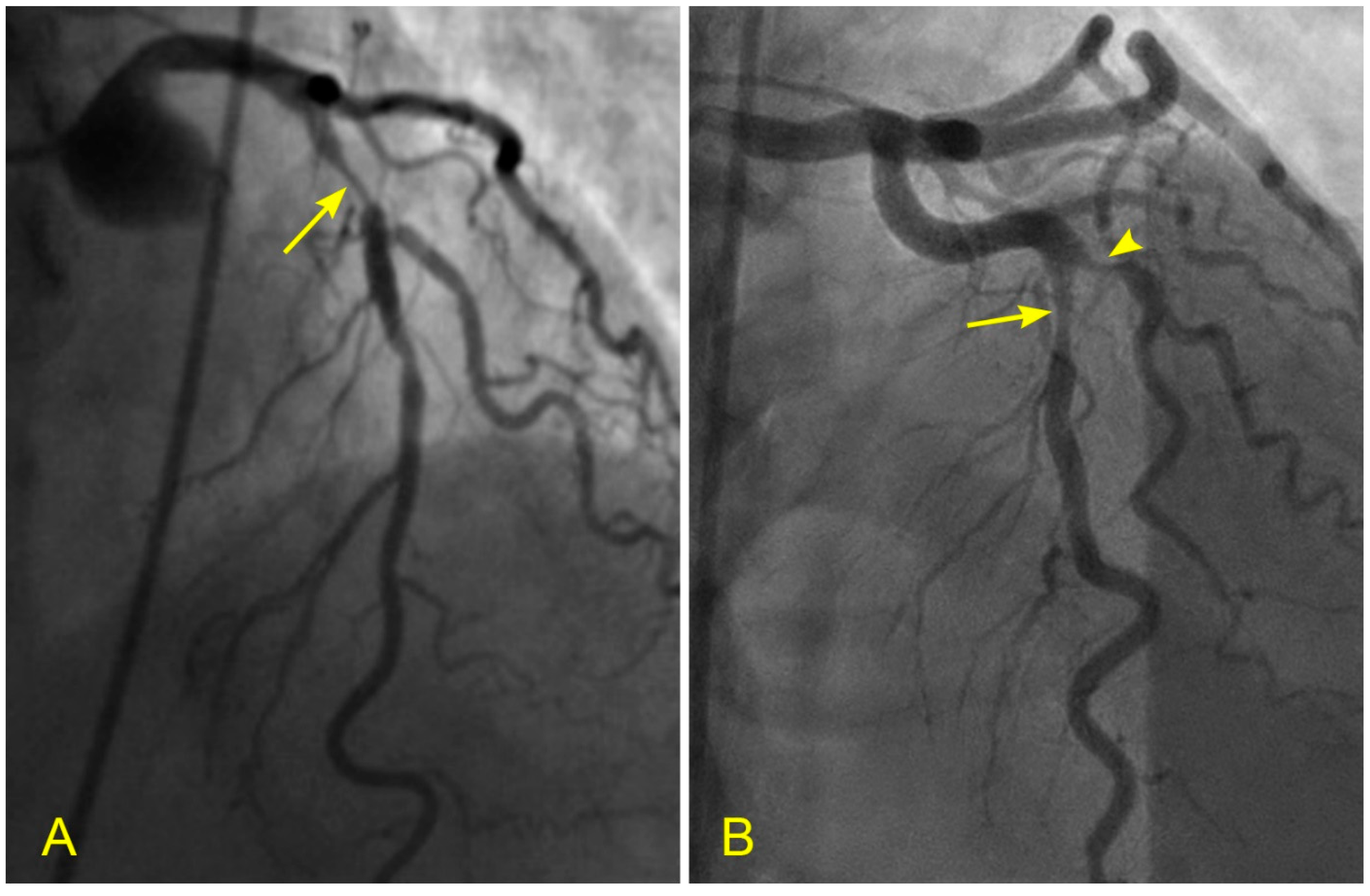 Introducing a Novel Innovative Technique for the Recording and ...