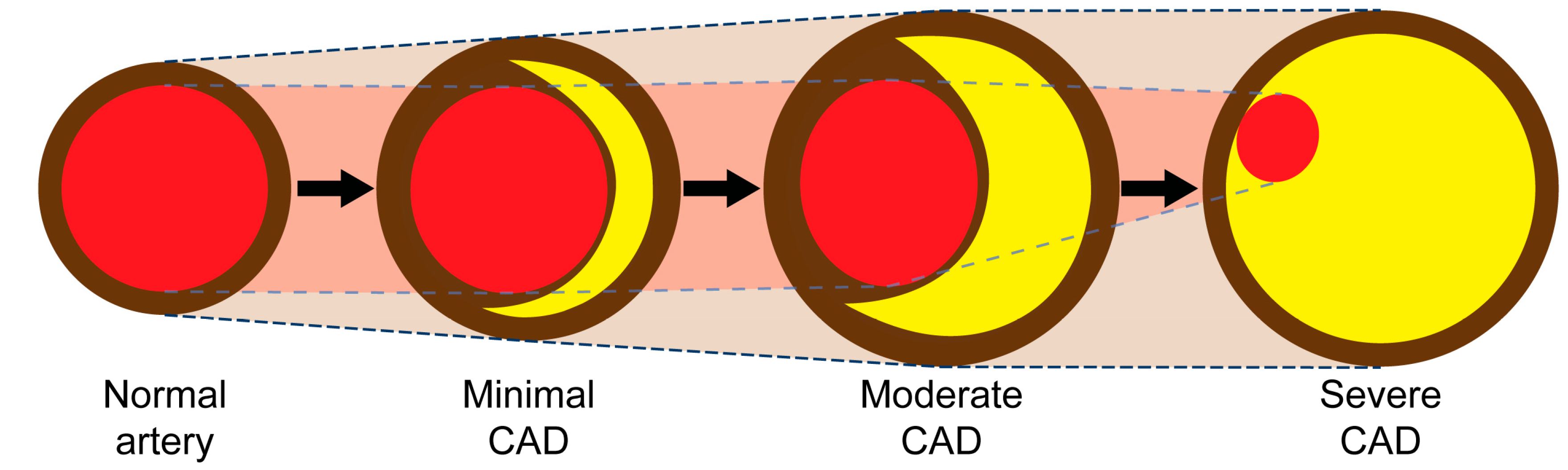 Introducing a Novel Innovative Technique for the Recording and Interpretation of Dynamic ...