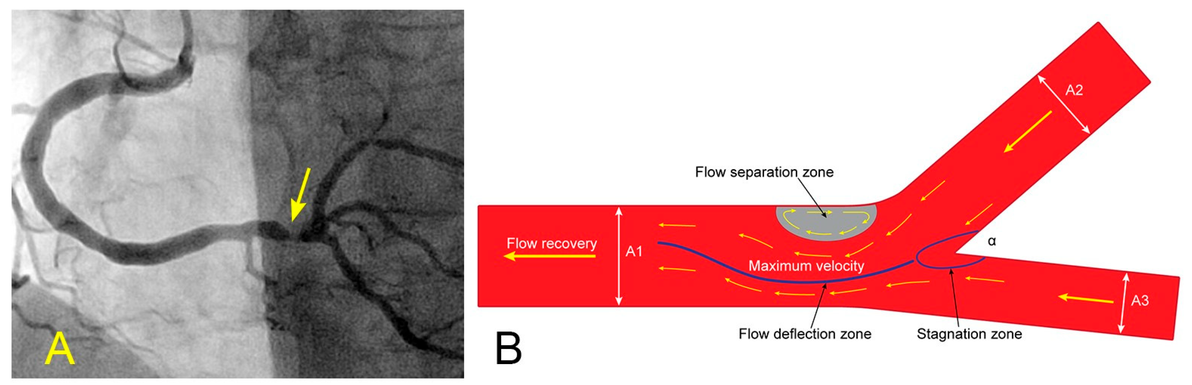 Introducing a Novel Innovative Technique for the Recording and Interpretation of Dynamic ...