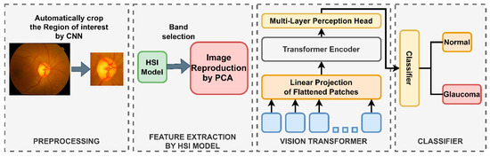 Glaucoma Detection through a Novel Hyperspectral Imaging Band Selection ...