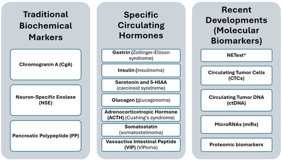 Biochemical Markers for Neuroendocrine Tumors: Traditional Circulating ...