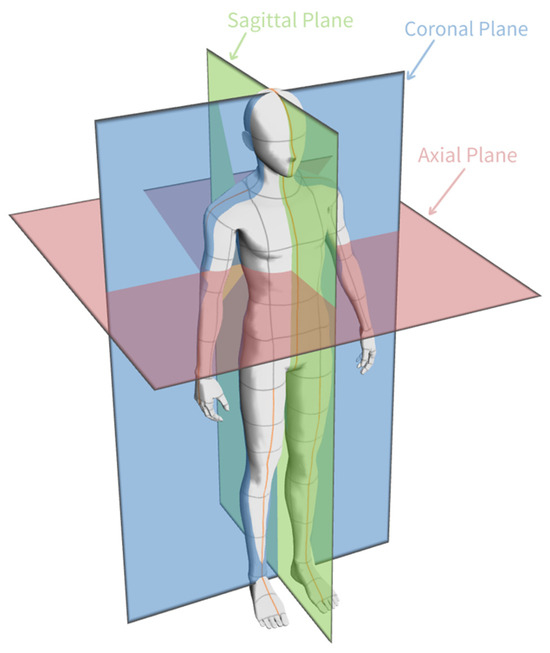 Diagnostics | Free Full-Text | Enhancing Lung Cancer Survival Prediction: 3D CNN Analysis of CT ...