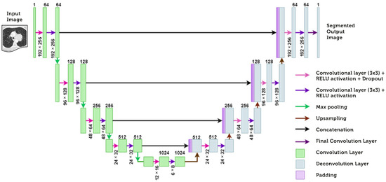 Diagnostics | Free Full-Text | Lung Disease Detection Using U-Net Feature Extractor Cascaded by ...