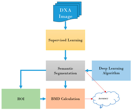 Exploring the Impact of Noise and Image Quality on Deep Learning Performance in DXA Images