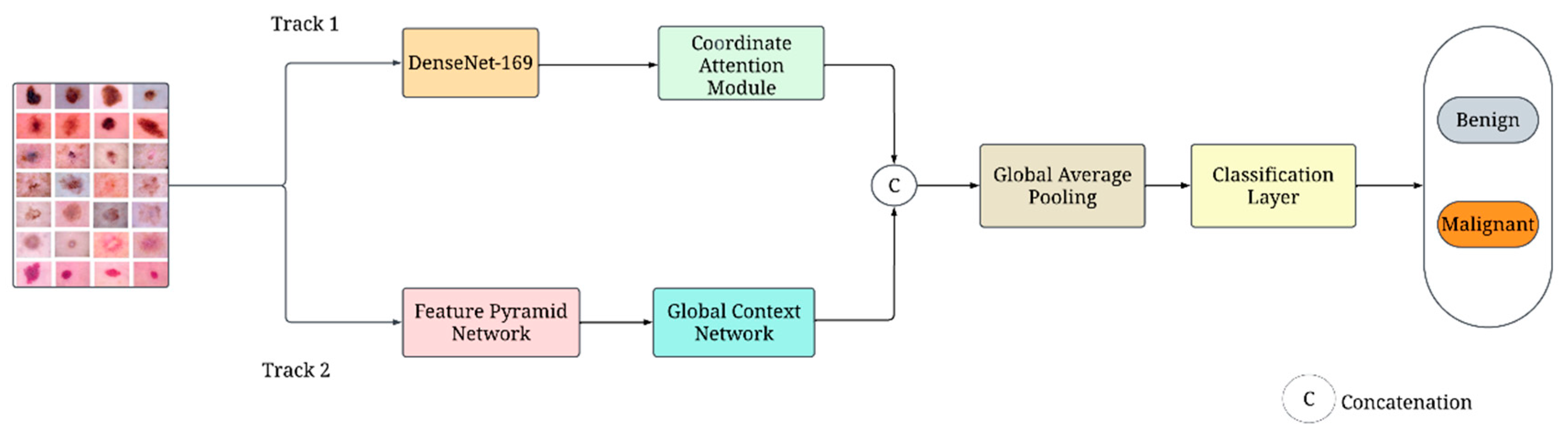 Diagnostics | Free Full-Text | Integration of Localized, Contextual, and Hierarchical Features ...