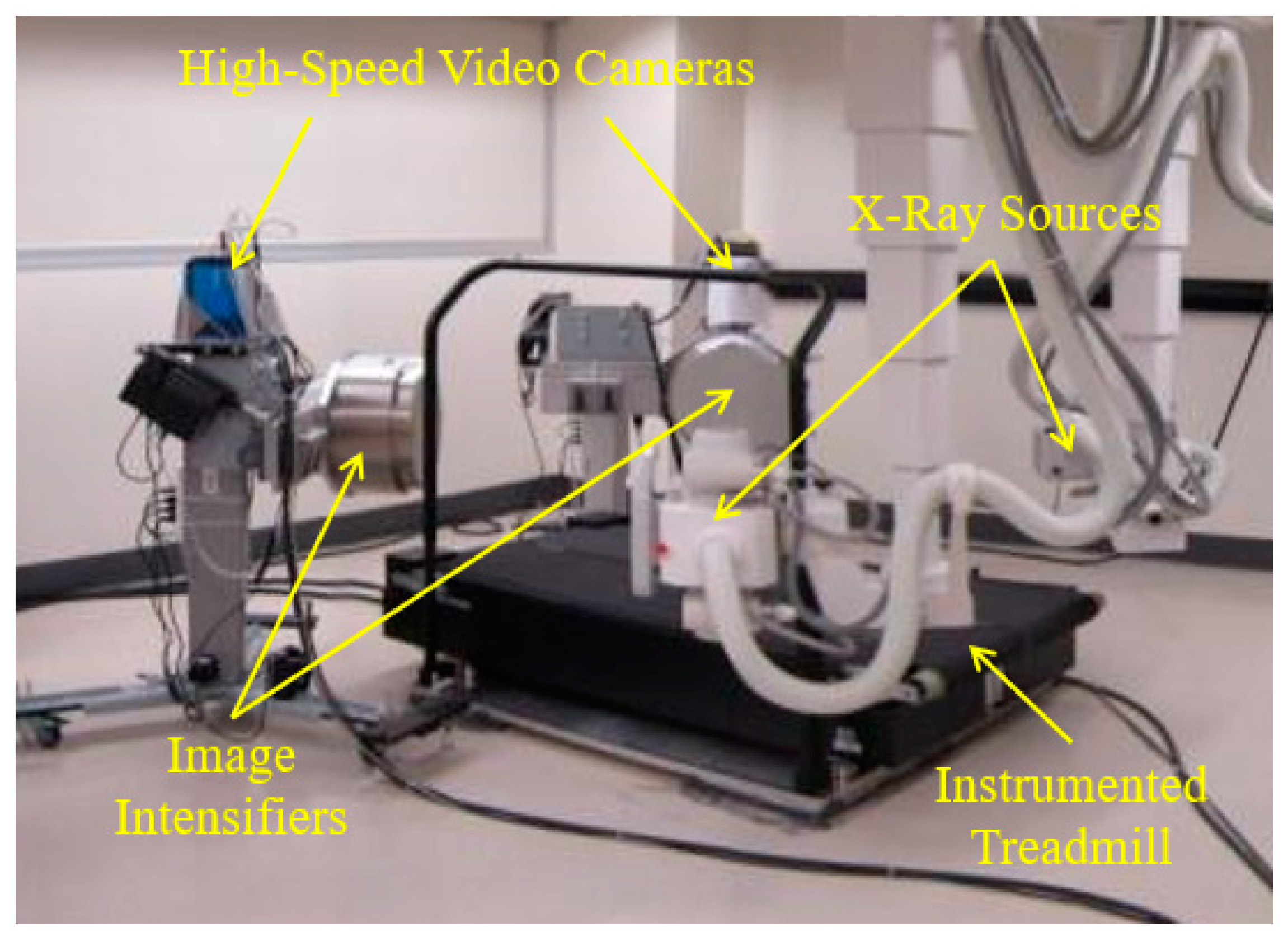 Diagnostics | Free Full-Text | A Rigorous 2D–3D Registration Method for ...