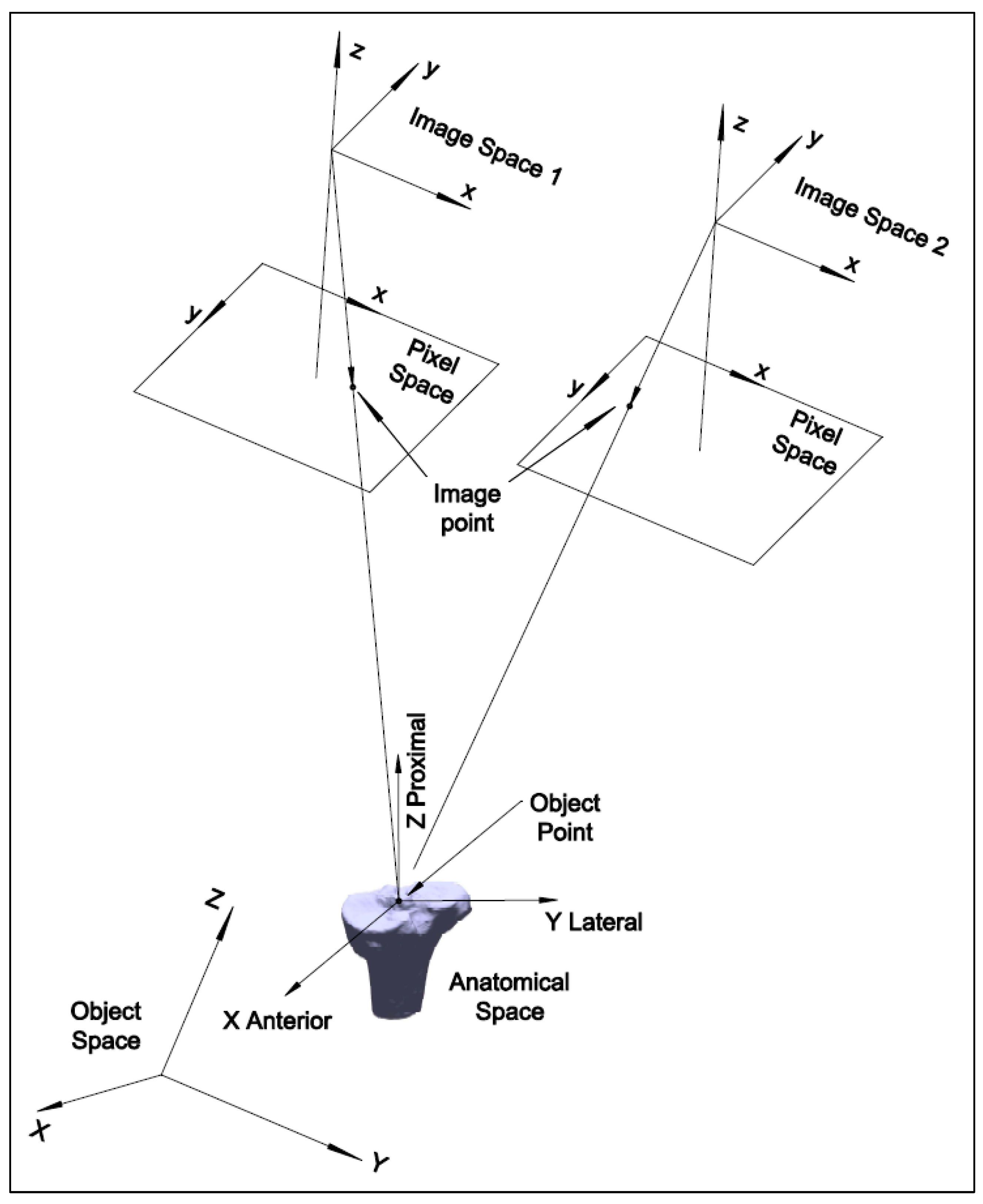 A Rigorous 2D–3D Registration Method for a High-Speed Bi-Planar ...