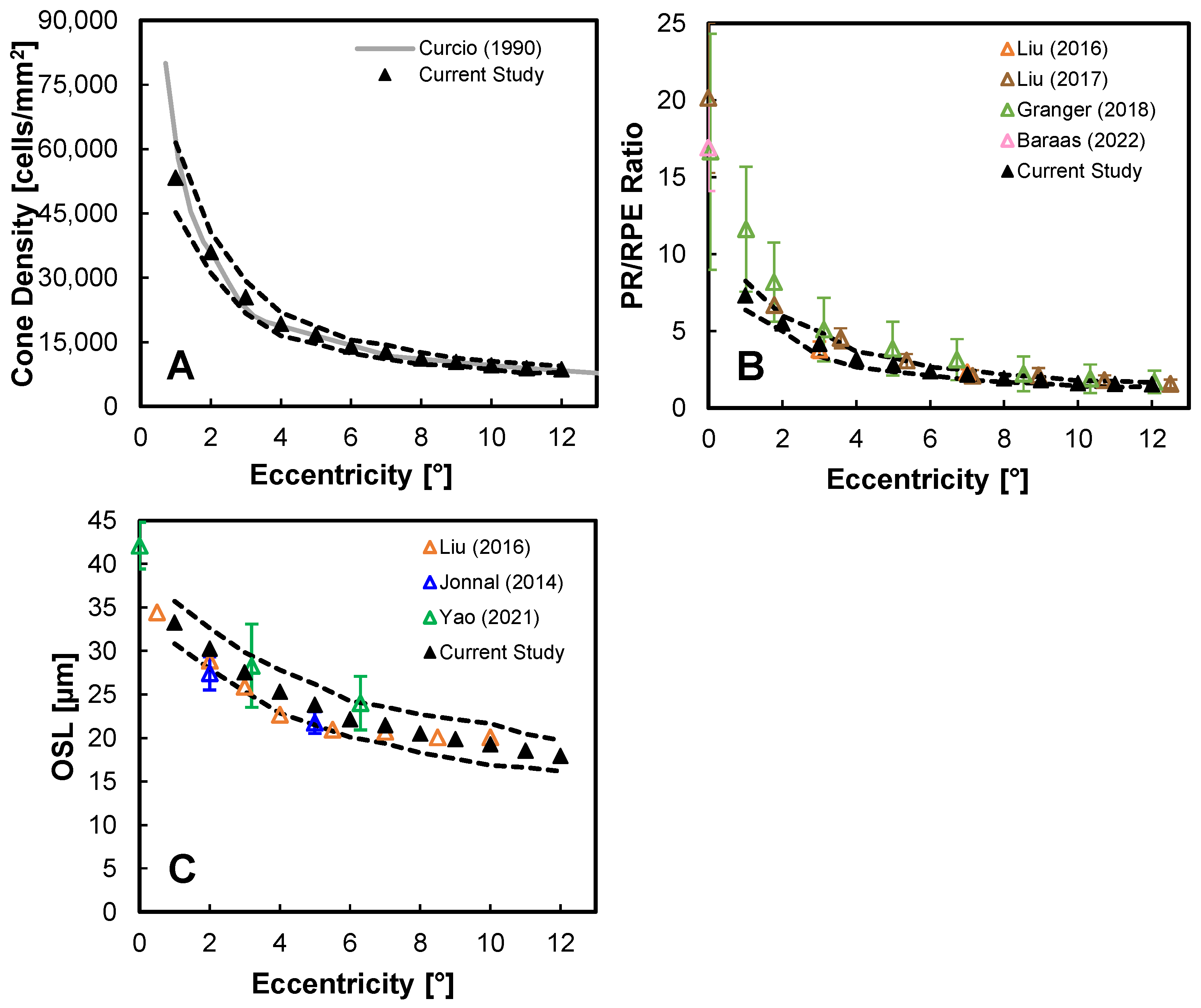 Quantification of Human Photoreceptor–Retinal Pigment Epithelium ...