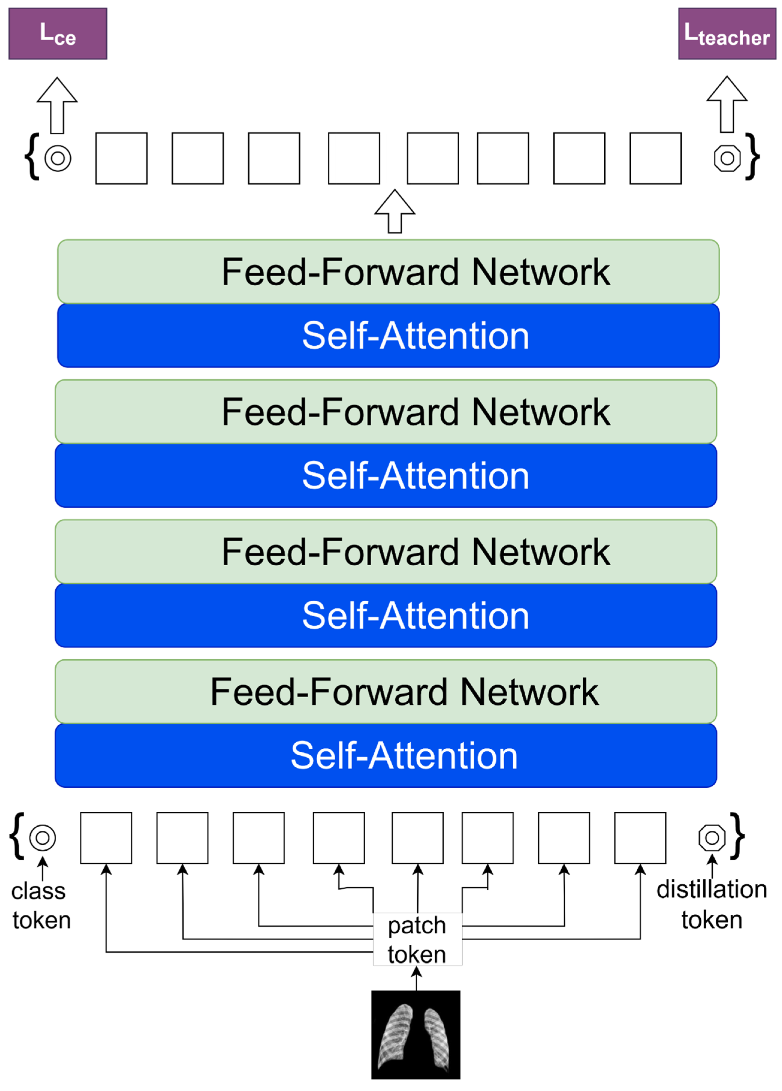 Four Transformer-Based Deep Learning Classifiers Embedded with an Attention U-Net-Based Lung ...